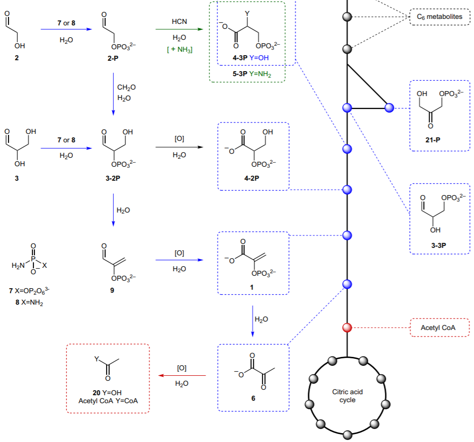 Powner Lab - Research Group of Professor Matthew Powner
